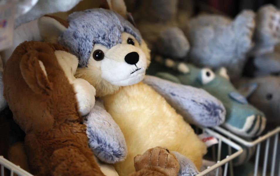 Snuggle therapy with weighted plush friends