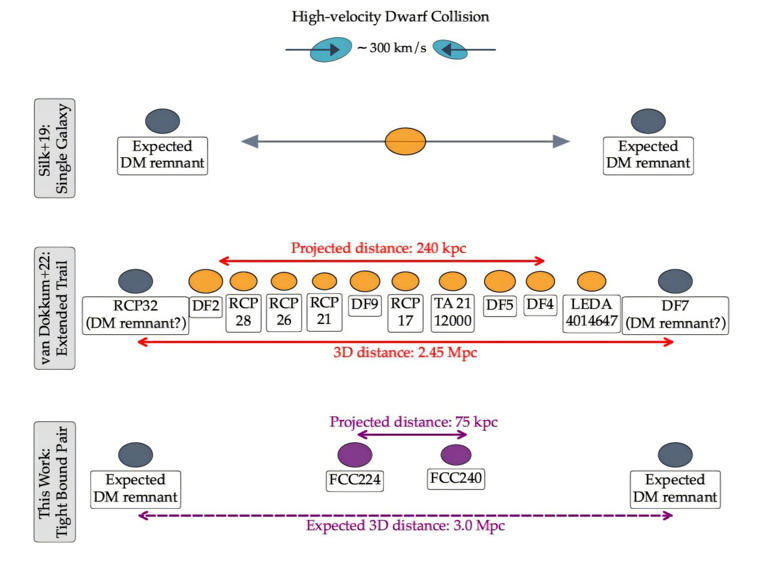 Possible dark matter-deficient twins discovered in the Fornax Cluster