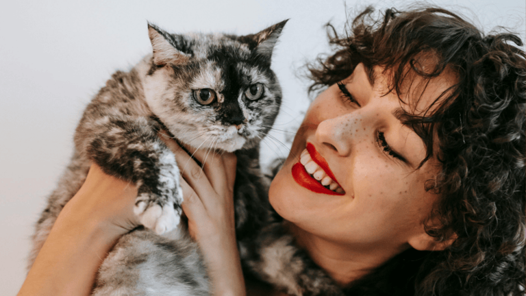 The science behind why cats choose one favorite person