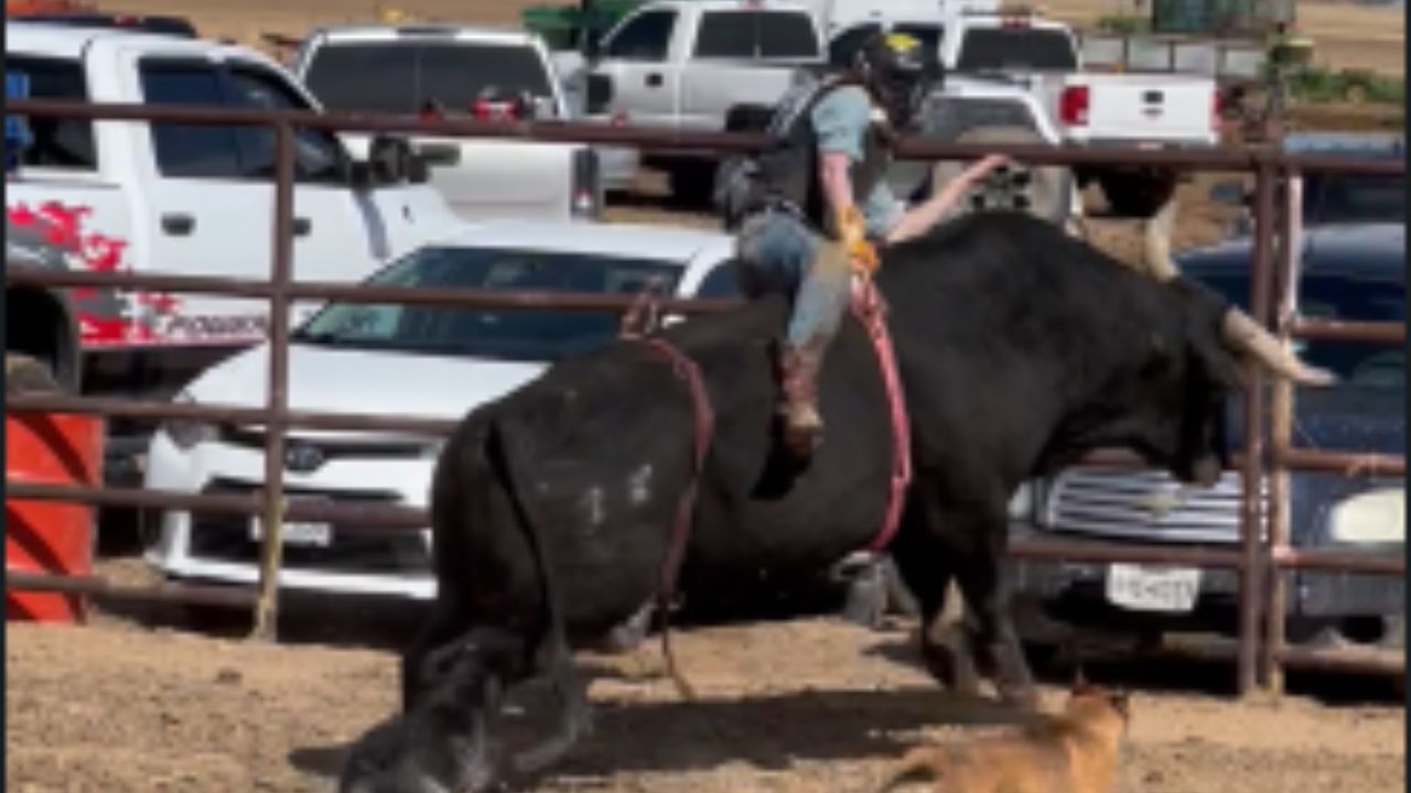 Man learns the hard way that there's no safety guaranteed while riding ...
