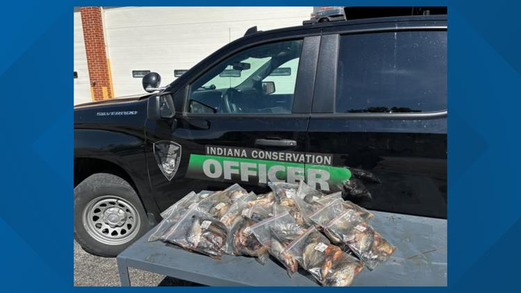 Indiana conservation officers seize wild fish set to be sold in Allen ...
