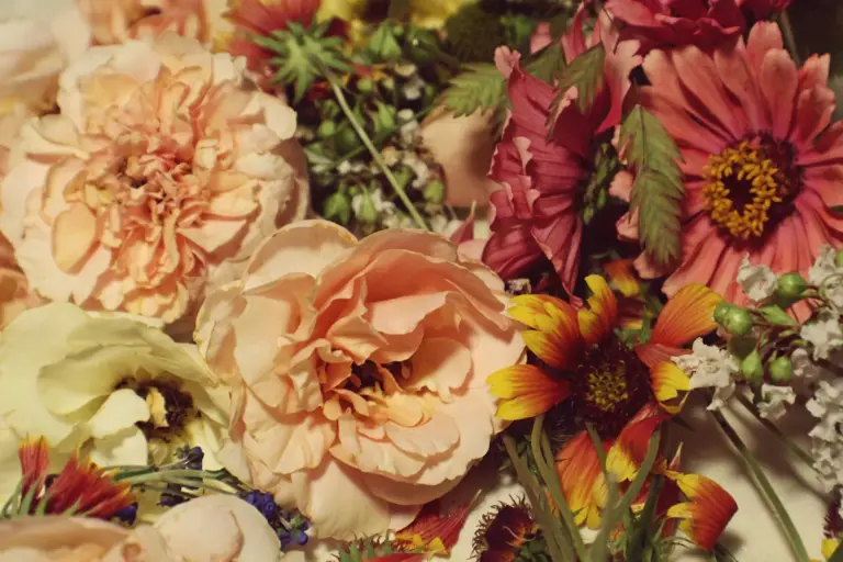 Self-sowing flowers deliver natural beauty with little effort