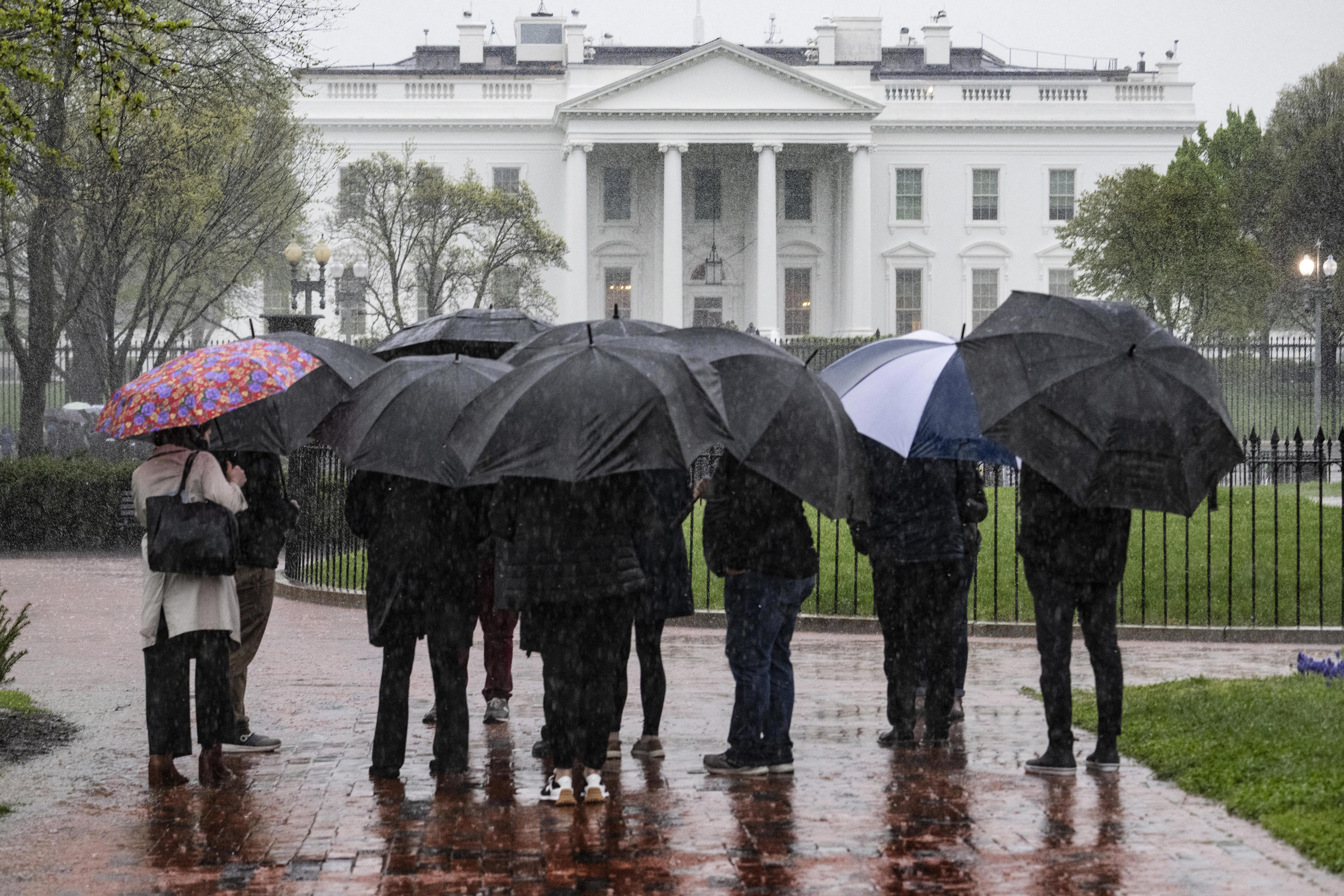 Will UFC White House get canceled? Bookies set odds on wonky weather ...