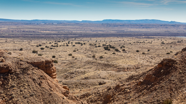 An hour from Albuquerque is New Mexico's sprawling desert wildlife site ...