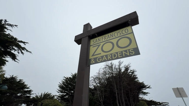 'Swatting' hoax threat prompts temporary lockdown at San Francisco Zoo