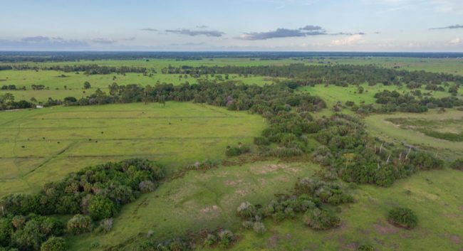 Florida locks down 6,200 acres of ranchland to block developers and ...