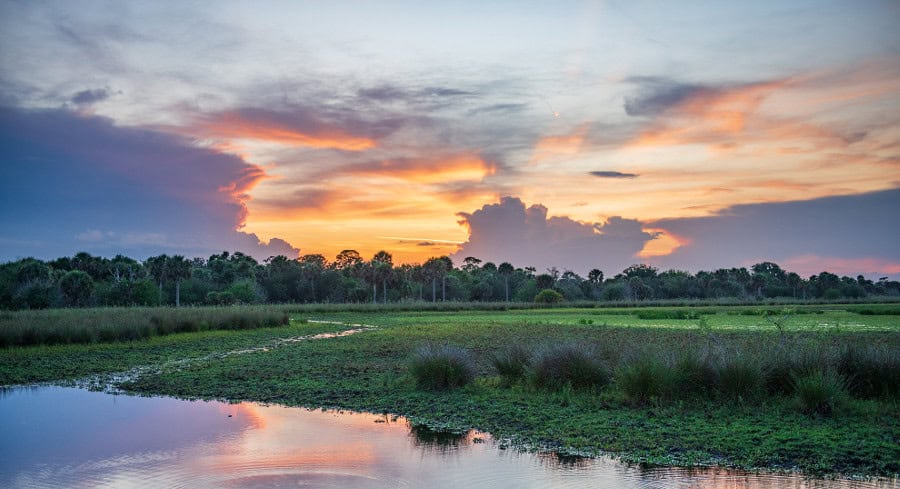 Florida locks down 6,200 acres of ranchland to block developers and ...