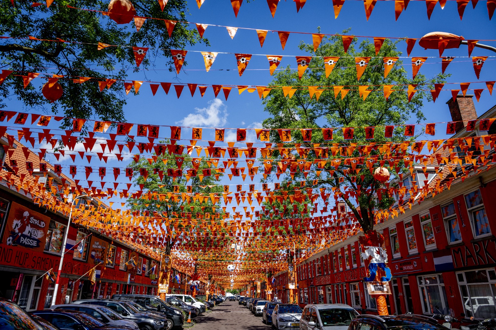 Kritiek op Oranjestraat om 'ongezonde' WK-versiering bomen, specialist ...