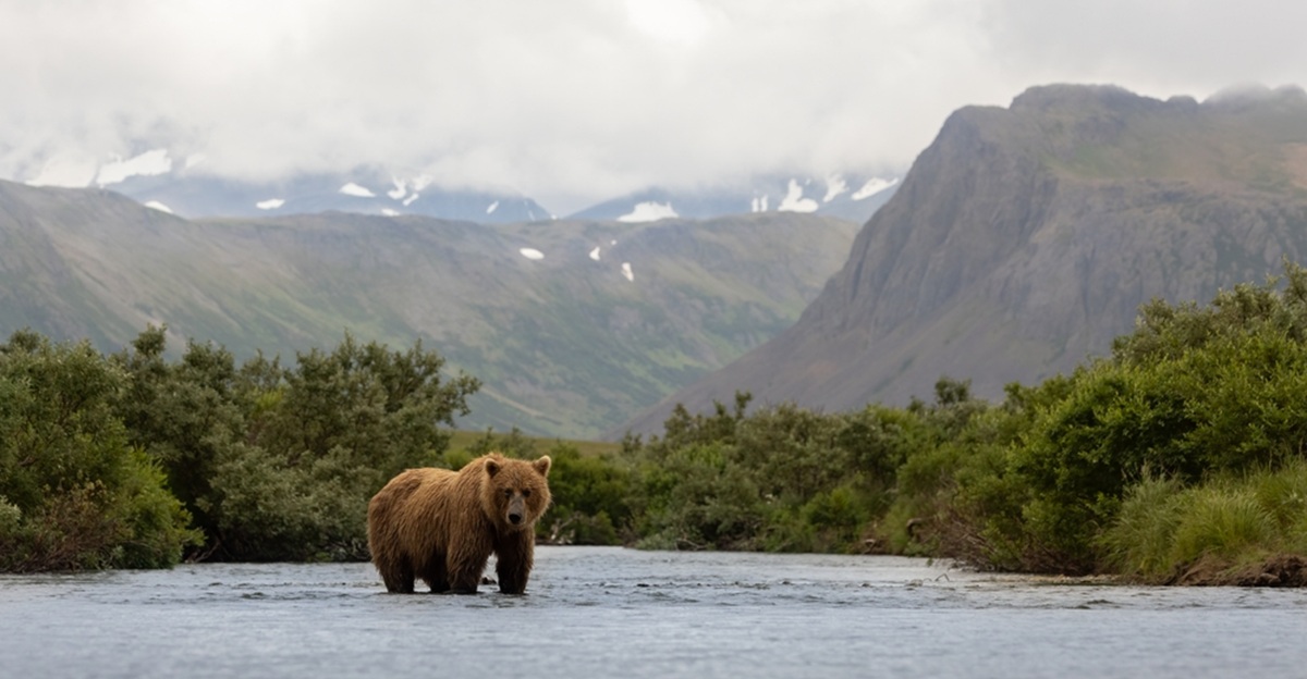 12 Alaska summer trips with glaciers, whales, and wildlife views