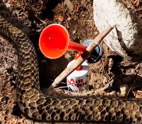 Outdoor survival secrets: Essential hacks for adventurers