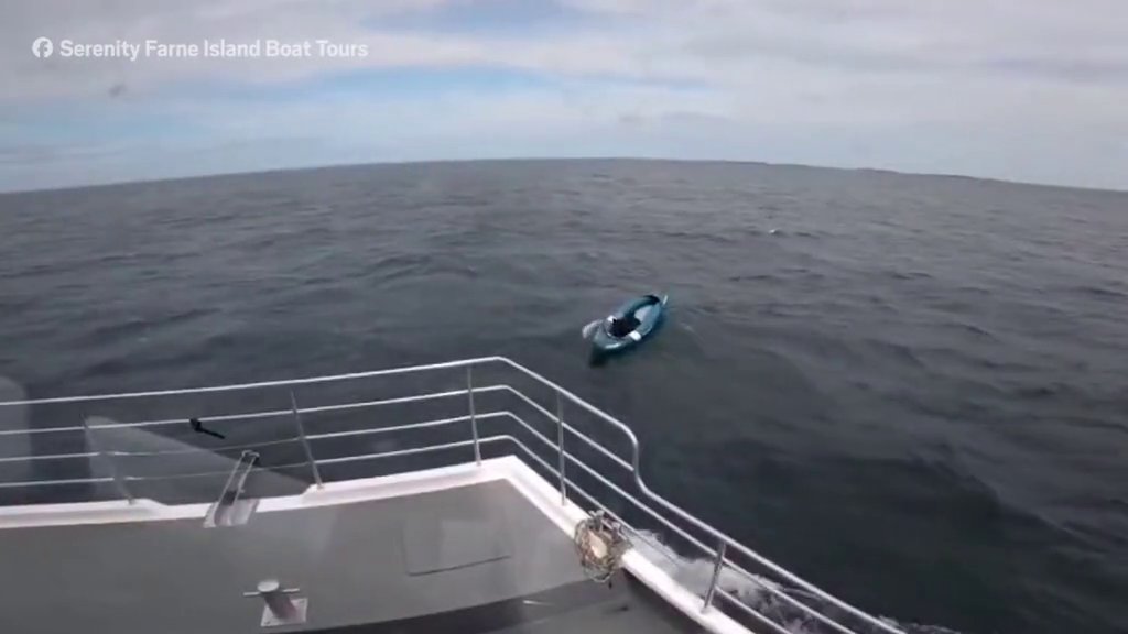 Dog drifting alone on kayak rescued in North Sea