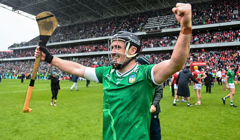 Everything you need to know about the hurling All-Ireland after ...