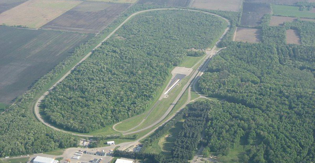 This bizarre forest hidden in Indiana features a secret message only ...