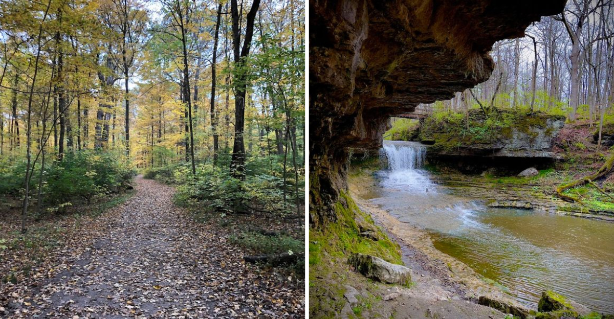A thousand acres of Ohio forest and a dozen natural springs that never ...