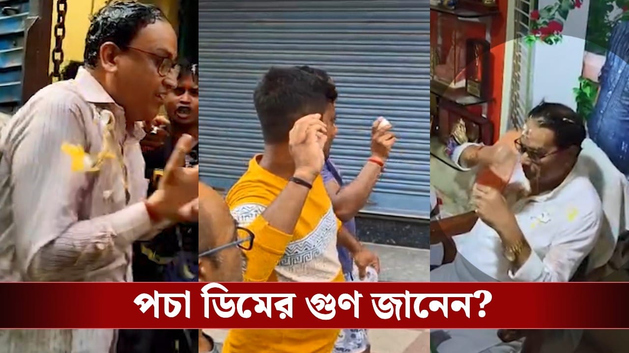 Rotten eggs use: পচা ডিমকে এভাবেও কাজে লাগাতে পারেন আপনারা