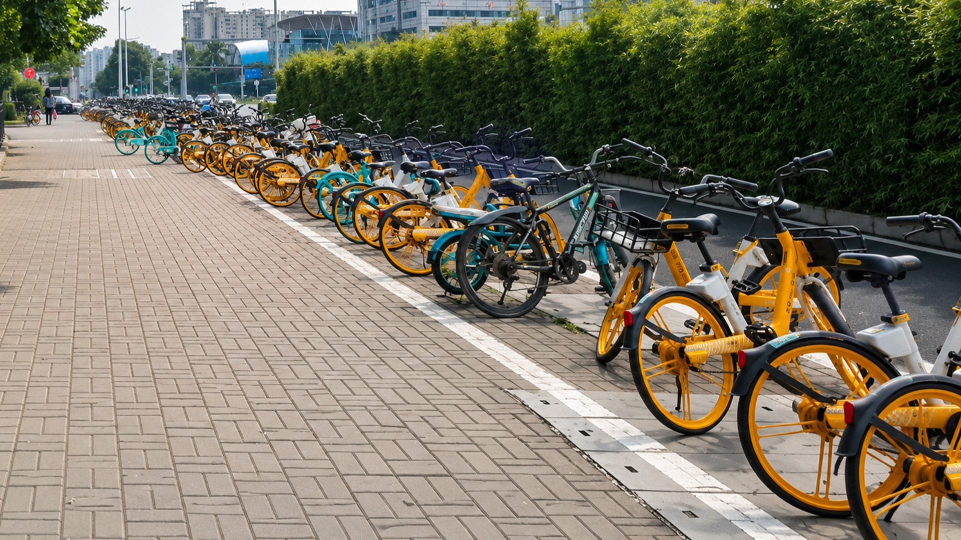 Walking past China’s shared bikes where the sidewalk seems endless