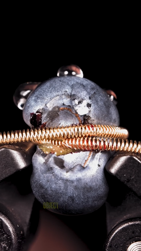 Super macro objects like you’ve never seen