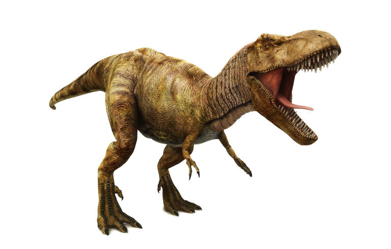 The secret behind the disproportionate limbs of the prehistoric T rex ...