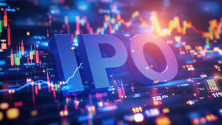 Hexagon Nutrition IPO: Issue booked 53 times on day 3; NII portion sees ...