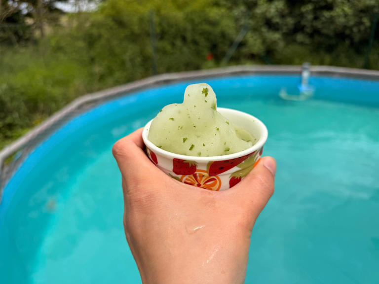 Slush-Eismaschine von Lidl im Test: Ist das günstige Gerät wirklich so gut?