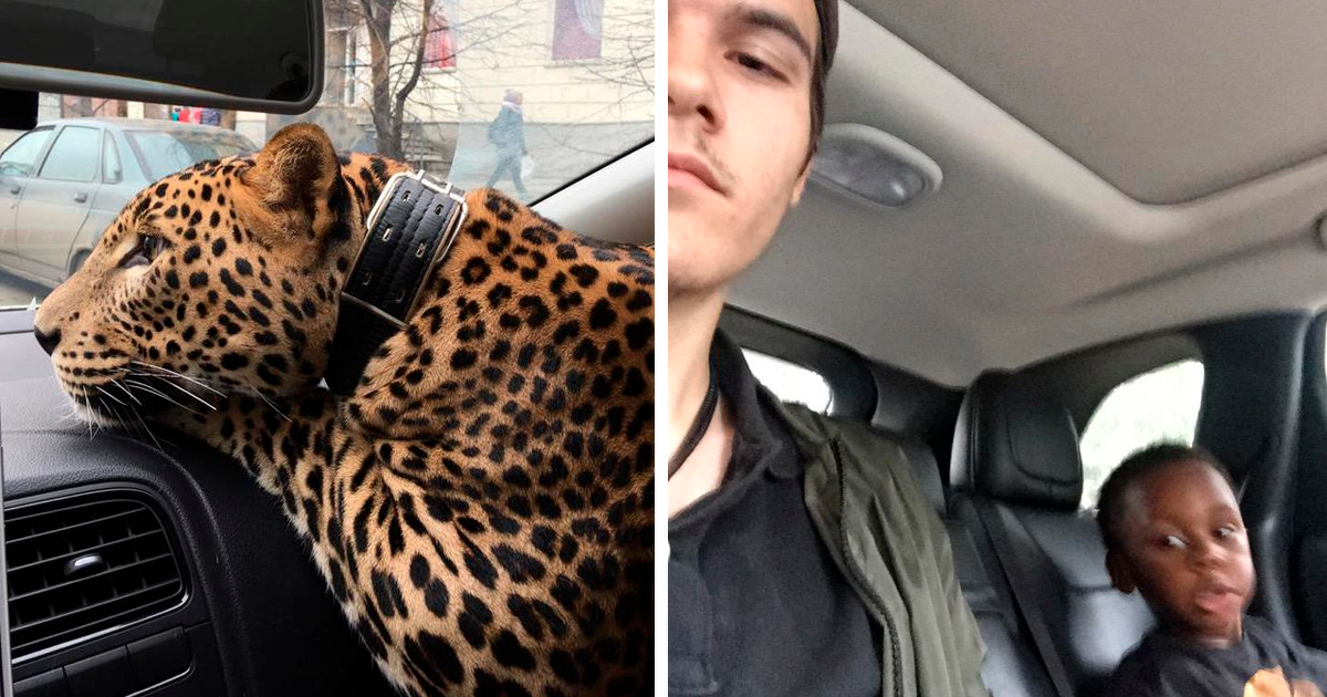 38 photos from taxi and Uber rides with unexpected comedic moments