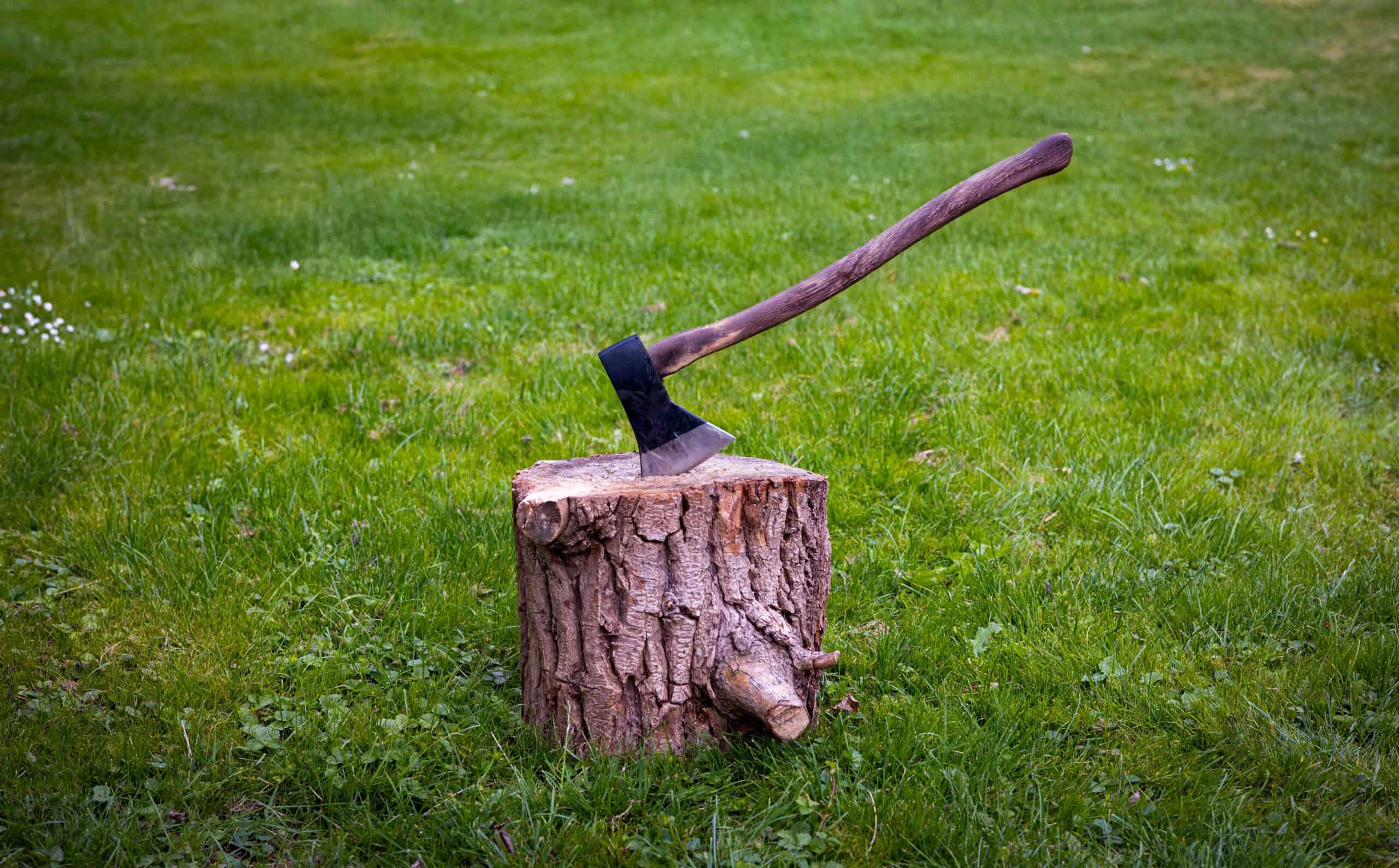 12 English words that don’t mean what most people think