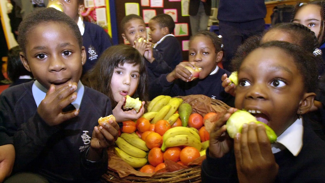 Protein-heavy, grazing-style meals reshape kids’ nutrition in 2026
