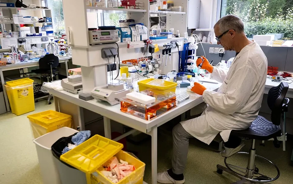 Immune memory research offers hope against cancer recurrence fears