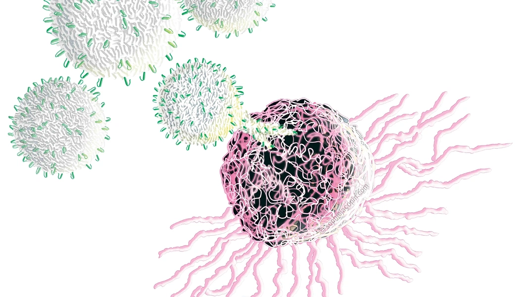 Immune memory research offers hope against cancer recurrence fears