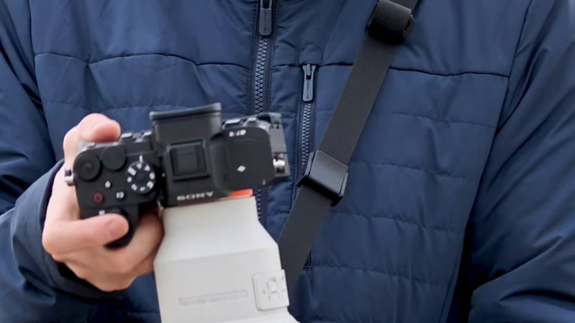 Sony A7R VI: A beginner's journey into bird photography