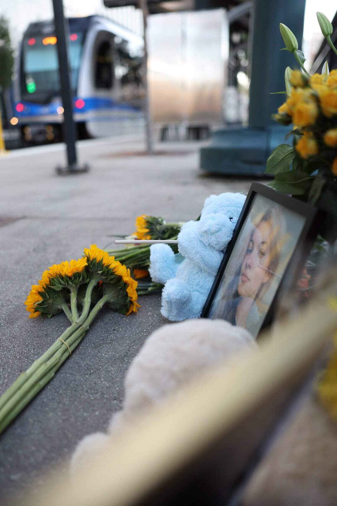 Mental illness delays Charlotte light rail stabbing charges in federal ...