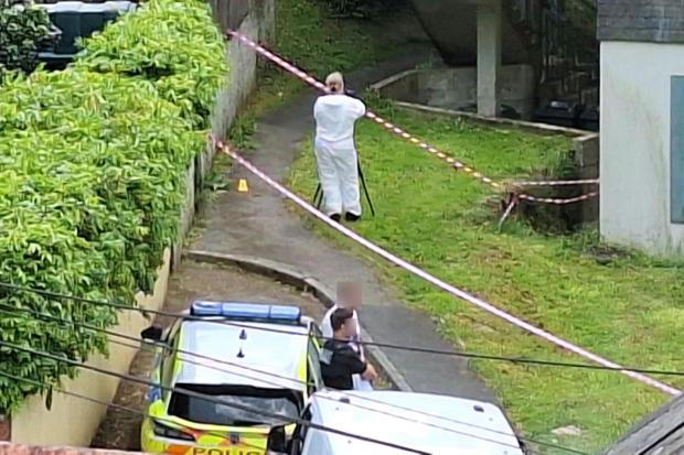 Reason for forensic teams collecting evidence in village near Flushing