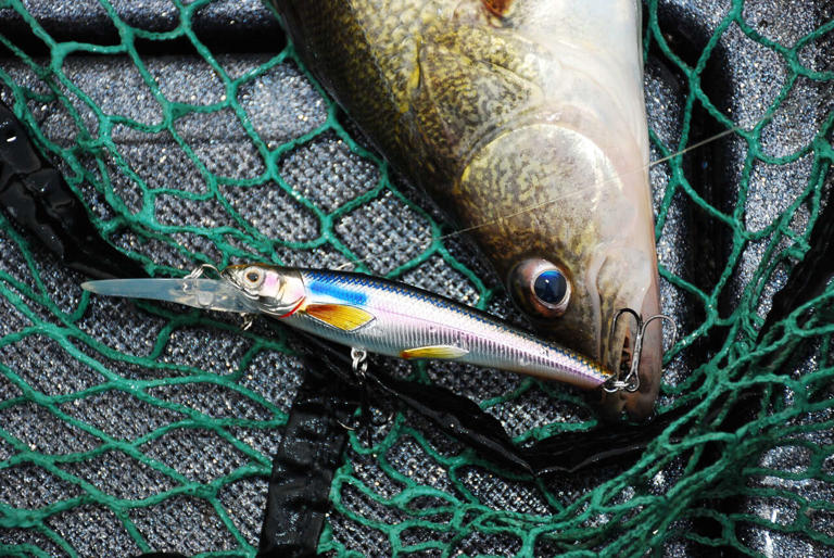 Michigan releases 2026 Eat Safe Fish guides for 696 lakes and rivers