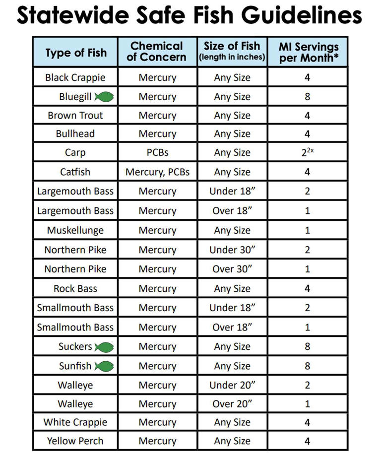 Michigan releases 2026 Eat Safe Fish guides for 696 lakes and rivers