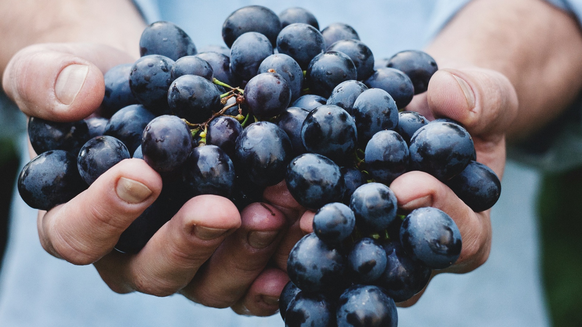 10 aliments dangereux qui présentent un risque d’étouffement et 10 ...