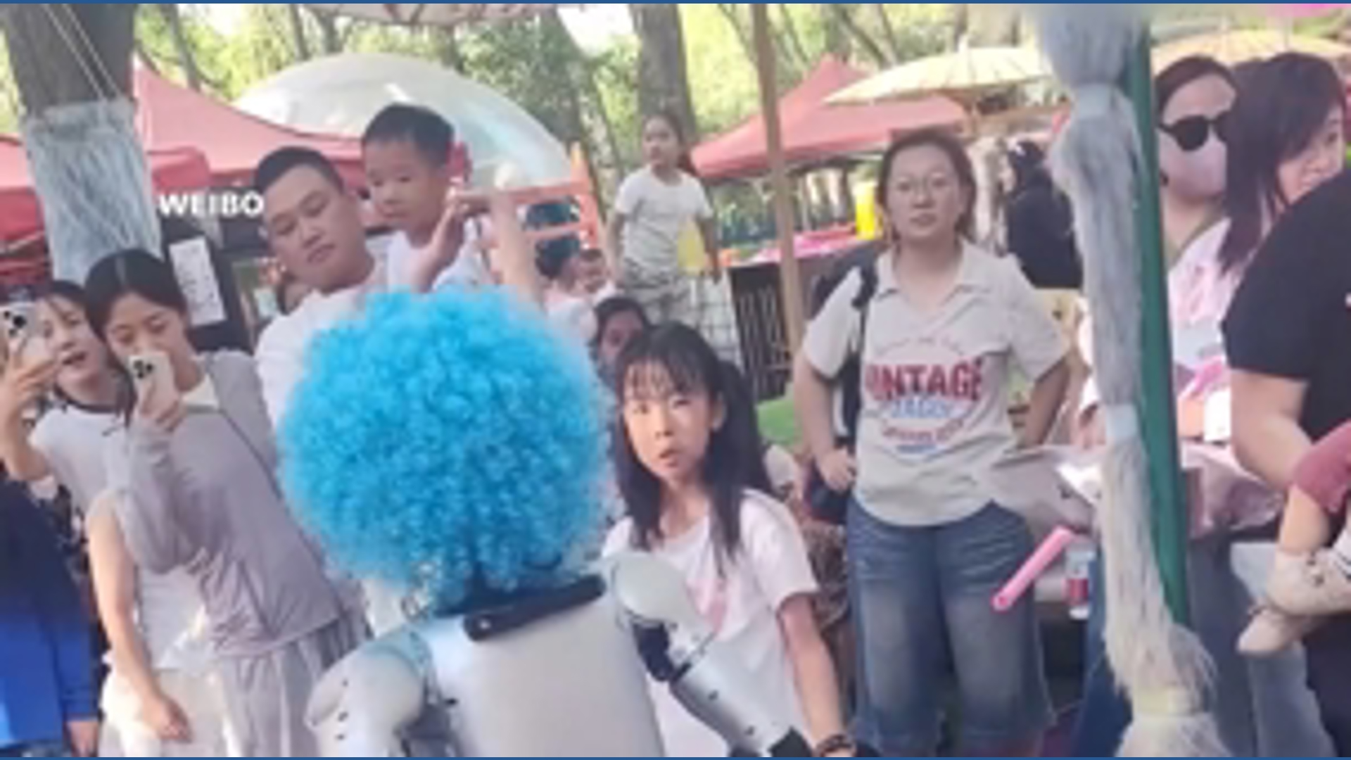 Robot martial arts show halted after child kicked during performance