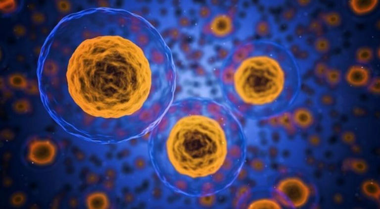 Cancro, c'è un nuovo rivoluzionario strumento per la valutazione del ...