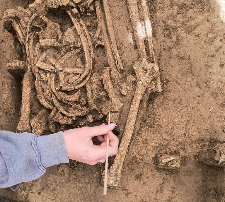 What happened to their heads? Archaeologists found 77 headless ...