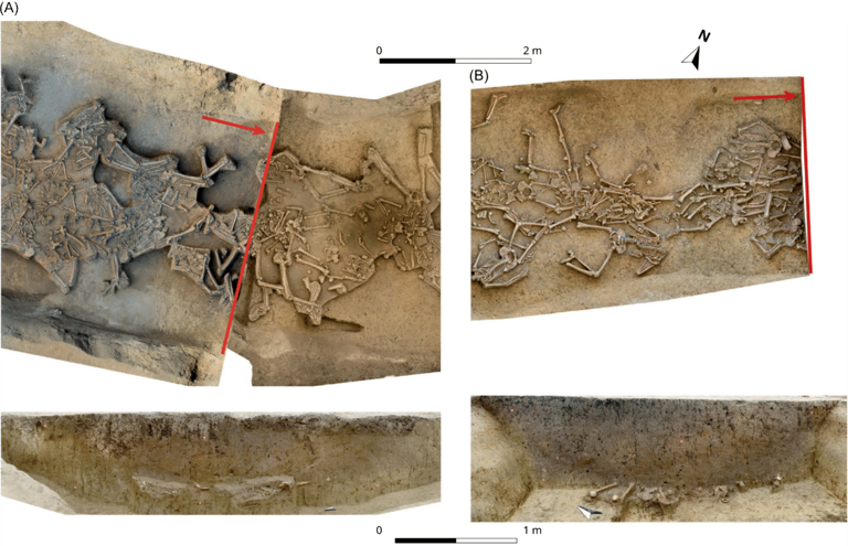 What happened to their heads? Archaeologists found 77 headless ...