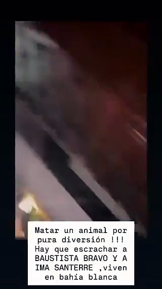 Dos jóvenes mataron a una nutria a patadas y enfrentan una causa judicial