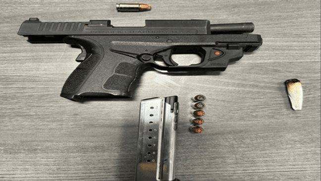 Felon stopped for smoking weed on the street pleads guilty to illegal ...