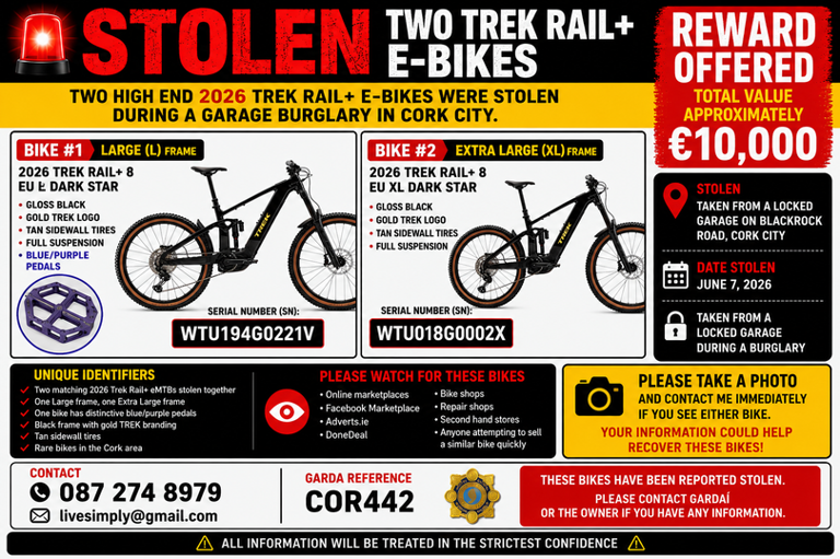 CCTV catches brazen Cork thieves stealing high-end e-bikes worth €10,000