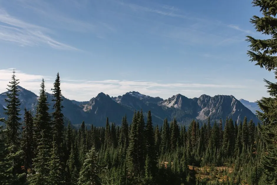 Scenic highway detour that Washington state road trippers are obsessed ...