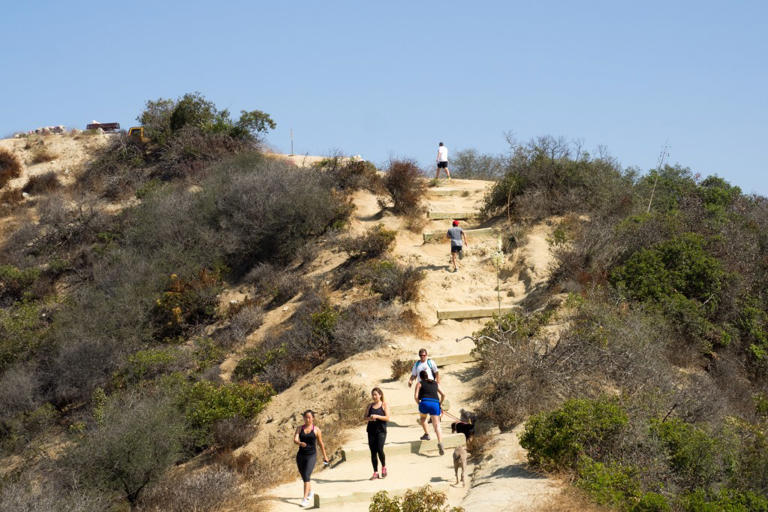 Hollywood star’s ex, William Hasley, found dead on LA’s Runyon Canyon ...