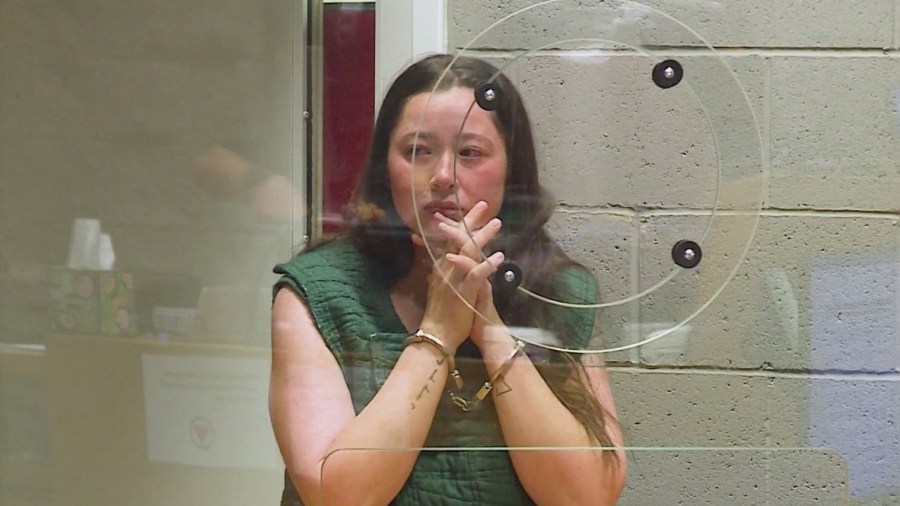 Mom allegedly told kids they were having sleepover before trying to ...