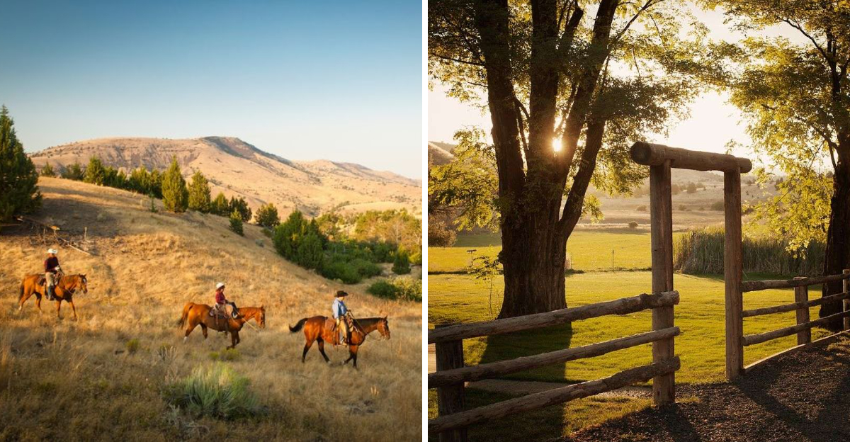Trade your daily grind for an authentic cowboy adventure at this Oregon ...