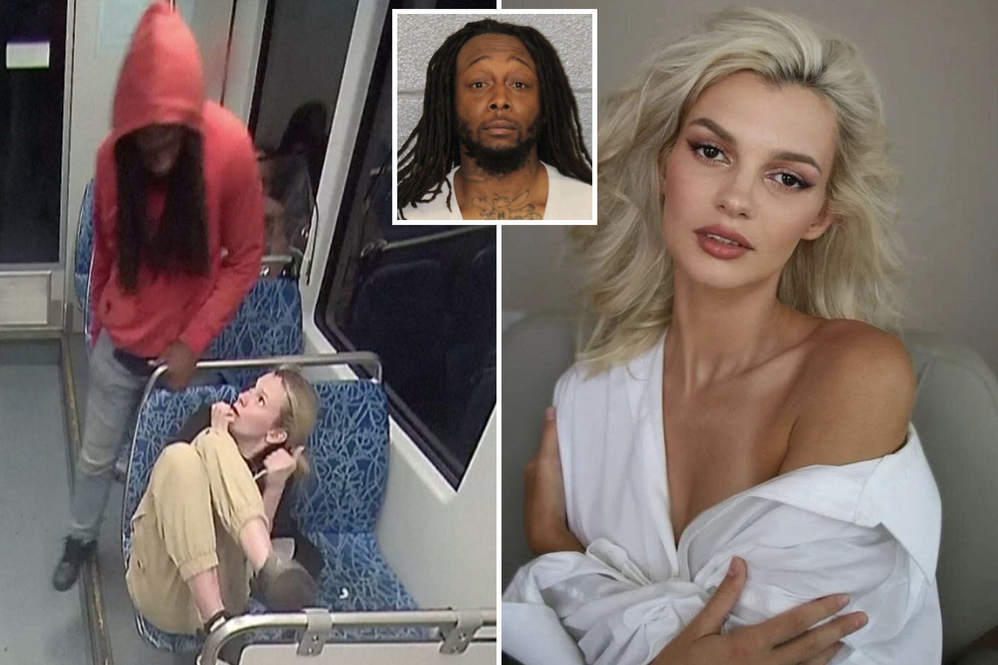 Madman accused of slaughtering Iryna Zarutska on Charlotte train ...