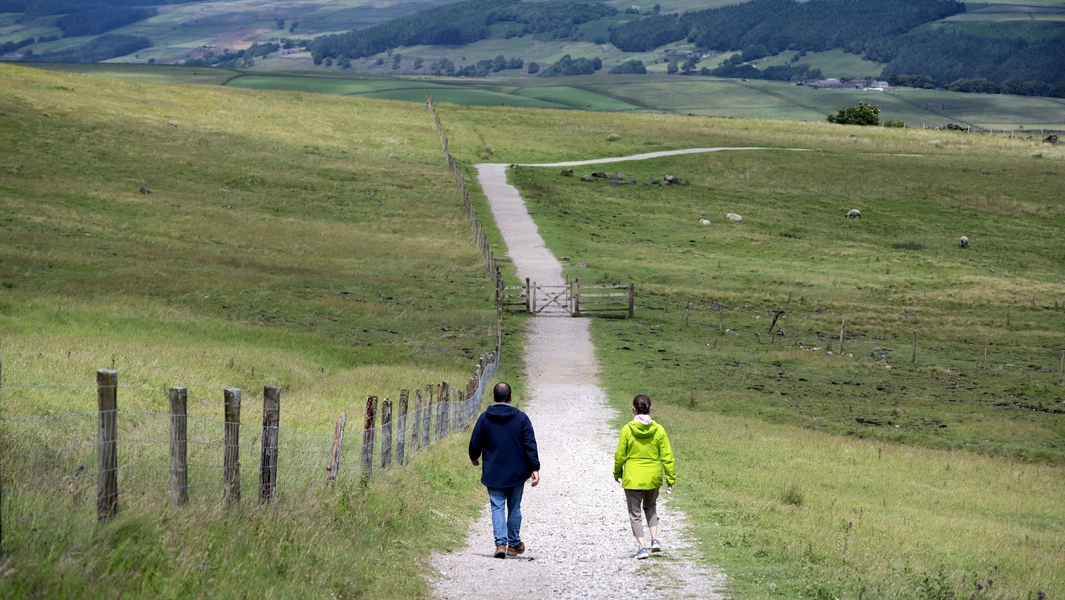 Turn your walk into a wellness ritual