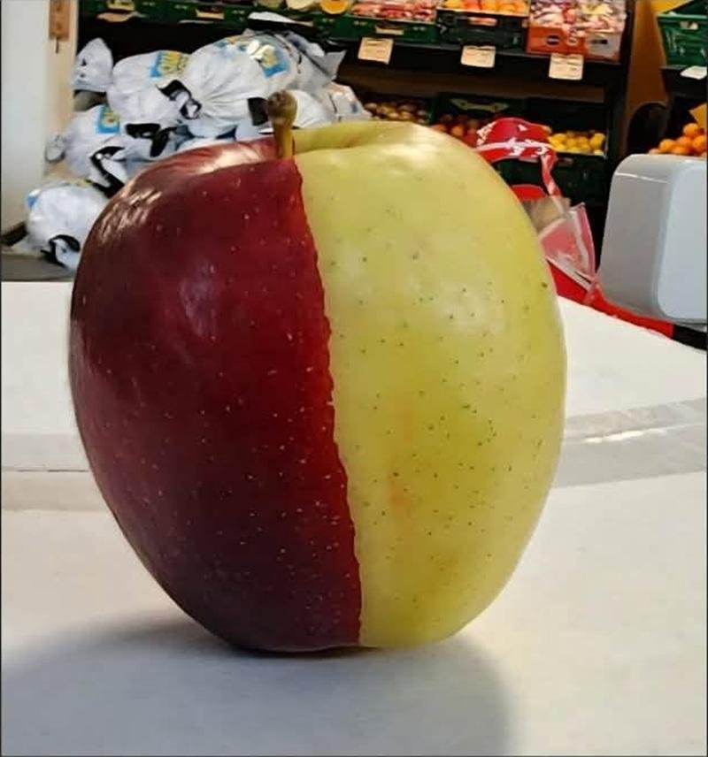 Look: Half-red, half-yellow chimera apple draws crowds at New Zealand store