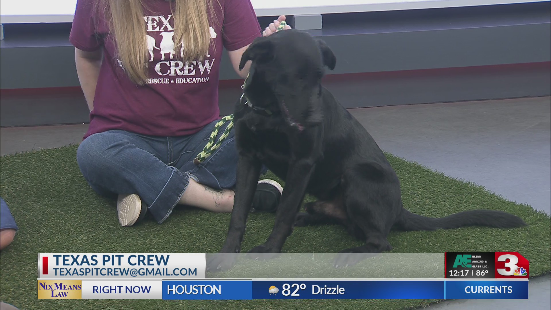 Meet Leo with Texas Pit Crew